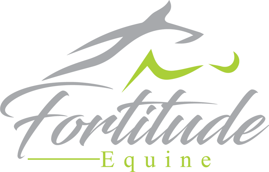 Cotton Fortitude Tee – Fortitude Equine